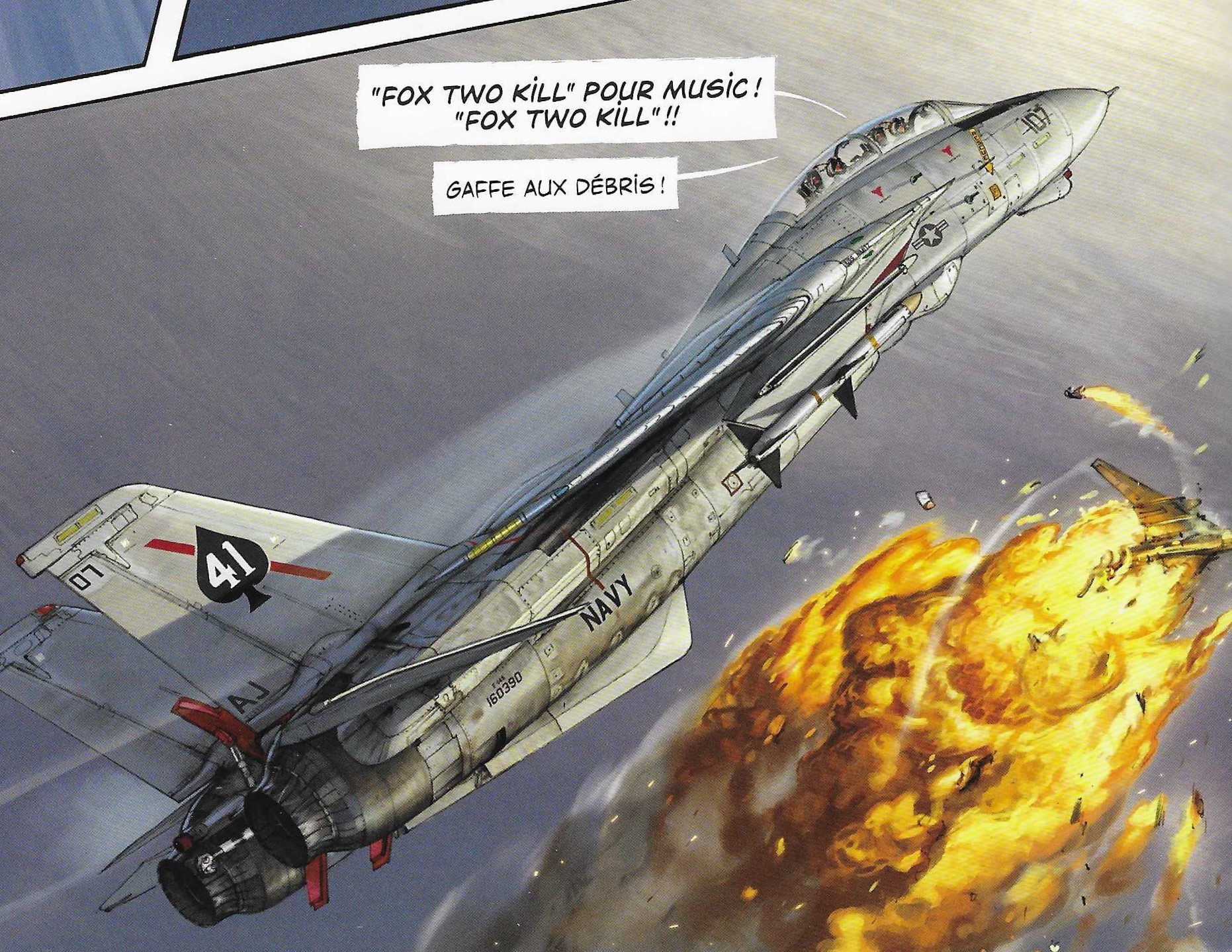 Tomcat, vie et mort d’un avion de combat et de son pilote Kara ...